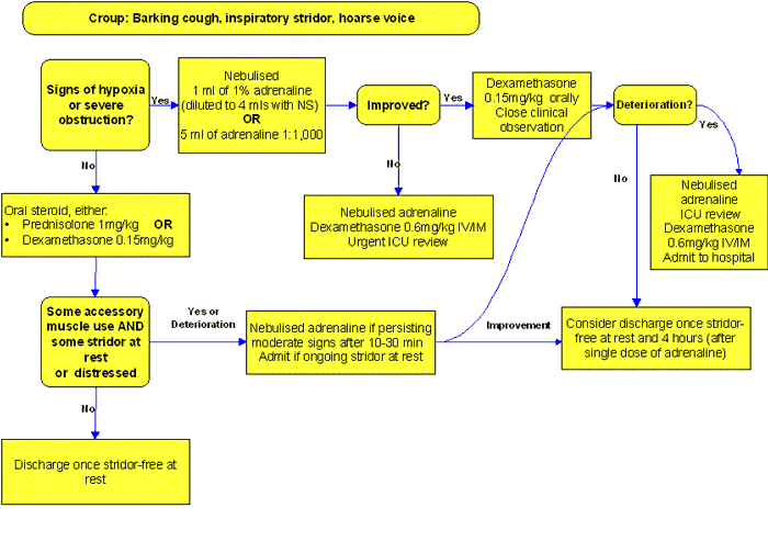 Clinical Practice Guidelines : Croup Management Flowchart Clinical Practice Guidelines : Croup Management Flowchart