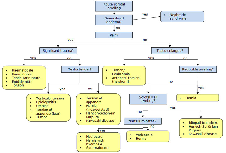 Acute Care Nursing Care Plan For Acute Abdominal Pain
