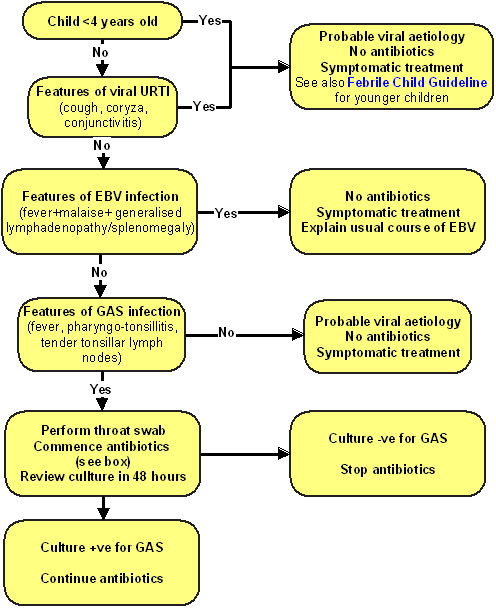 Clinical Practice Guidelines : Sore throat flowchart Clinical Practice Guidelines : Sore throat flowchart