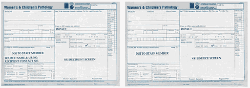 Clinical Practice Guidelines : Needle Stick Injury