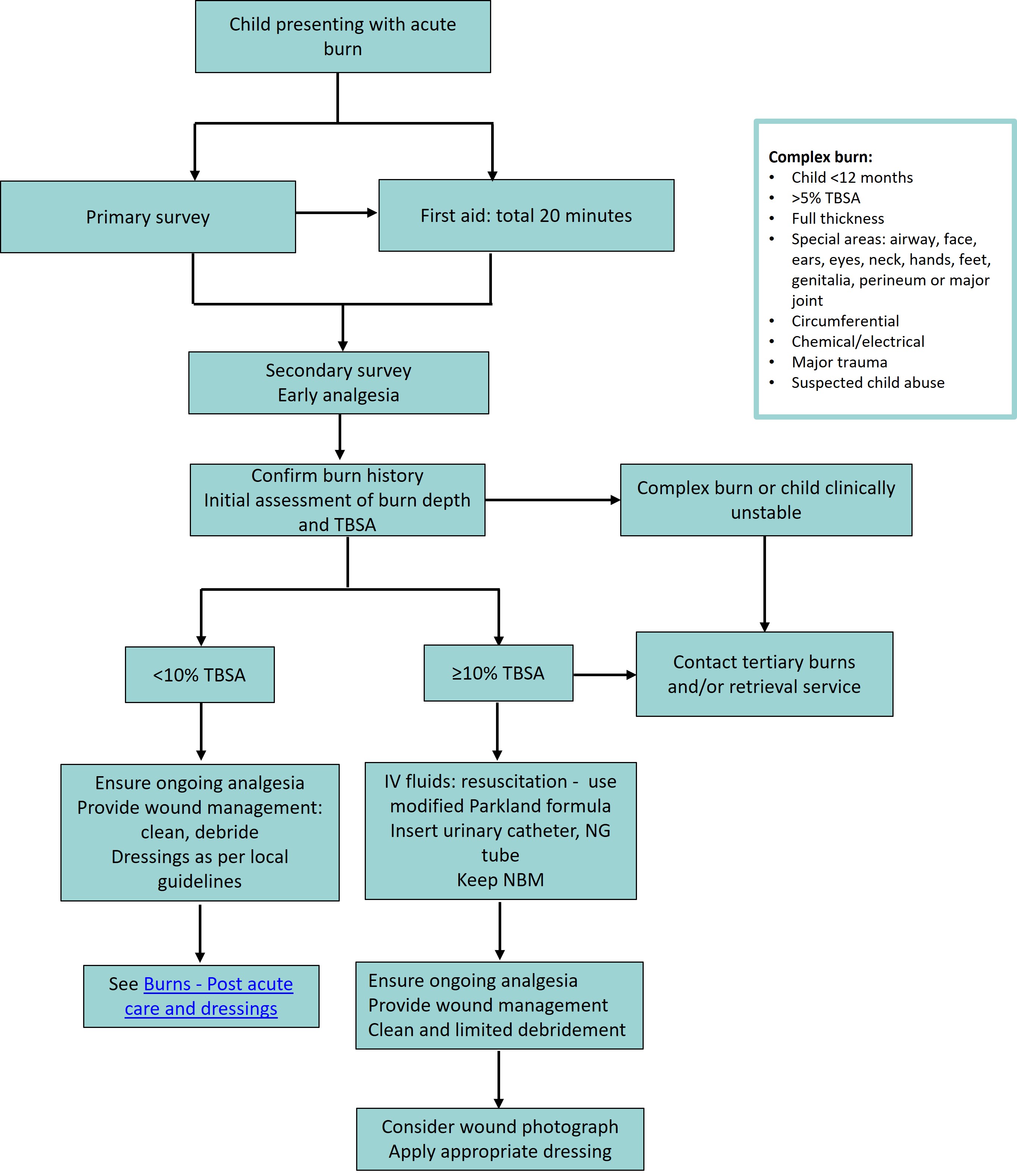 Clinical Practice Guidelines : Burns - acute management