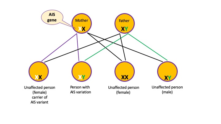 CAIS : The genetic basis of AIS