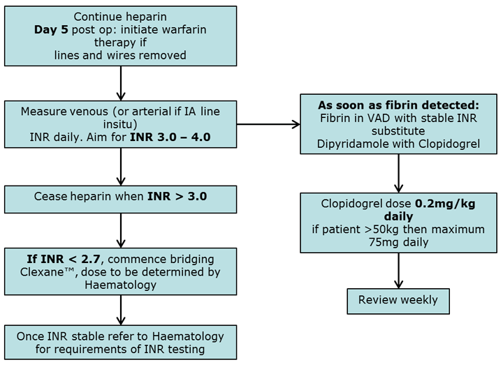 Chest Guidelines On Anticoagulation at Regina Bruce blog