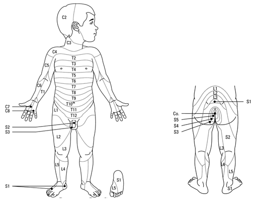 Nursing guidelines : Epidural Analgesia Nursing Management