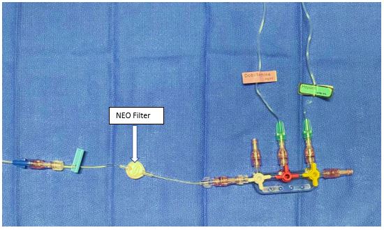 Nursing guidelines : Filters for venous access lines in select group of ...