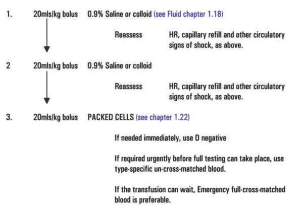Trauma Service : Circulation management