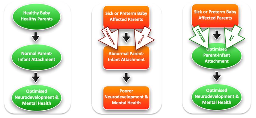 COCOON : About COCOON