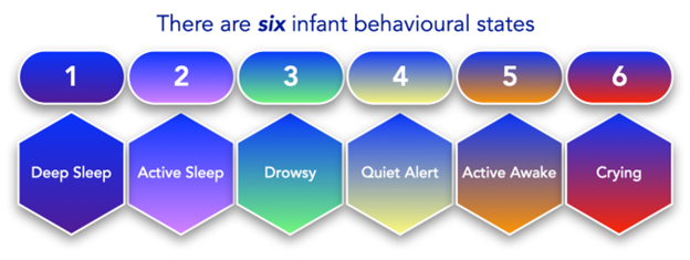 Nursing guidelines : Neonatal sleep maximisation in the hospital ...